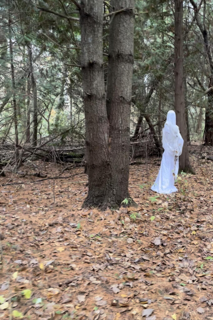 Haunted Forest Newmarket, Best Halloween Tour Adventure, 2023